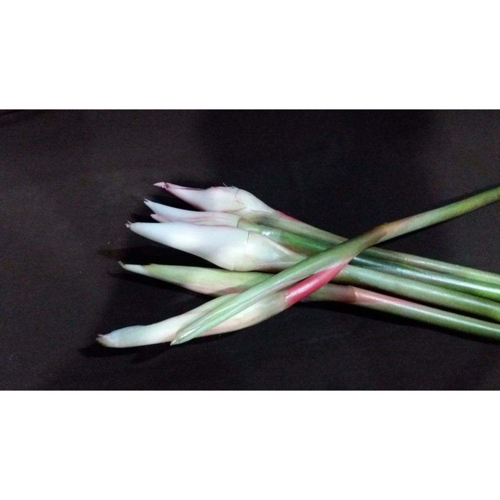 Jual Combrang 200gr/pack | Shopee Indonesia