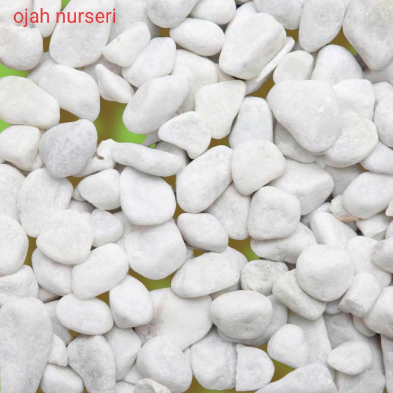 Jual BATU ALAM PUTIH/KORAL PUTIH KEMASAN 1KG /BATU HIAS/BATU TAMAN | Shopee Indonesia