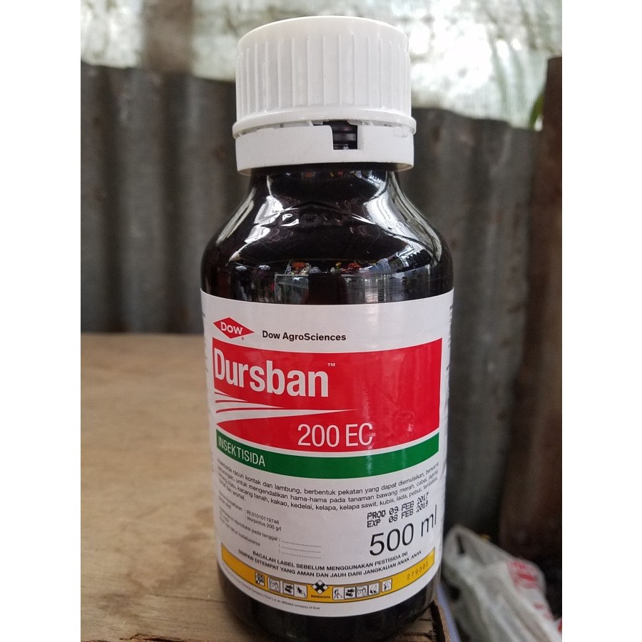 Jual Dursban 200 EC Insektisida 500 ML | Shopee Indonesia