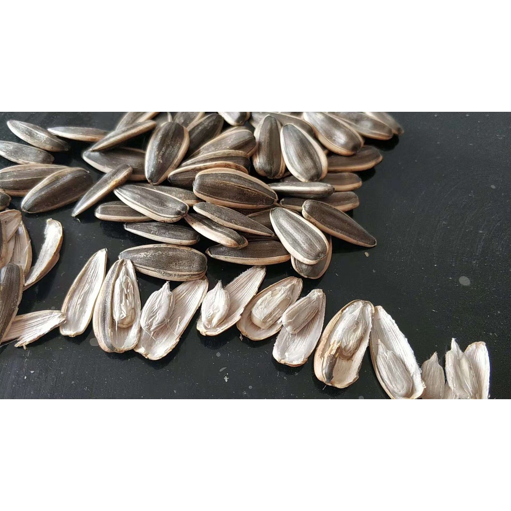 Jual KUACI BIJI BUNGA MATAHARI RASA WALNUT 250 GRAM | Shopee Indonesia