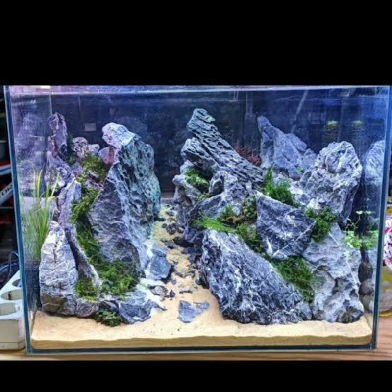 Jual Batu Cricket Batu kreket Aquascape | Shopee Indonesia