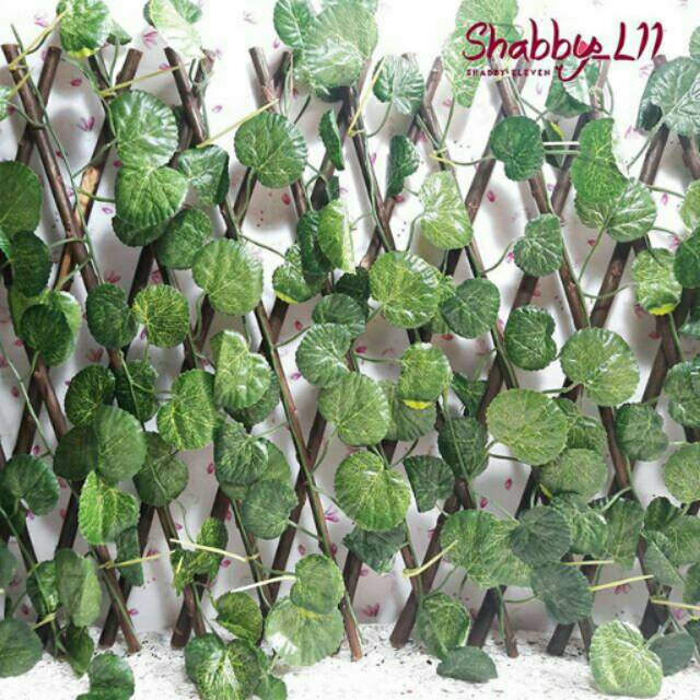 Jual Pagar kayu daun rambat (A) | Shopee Indonesia