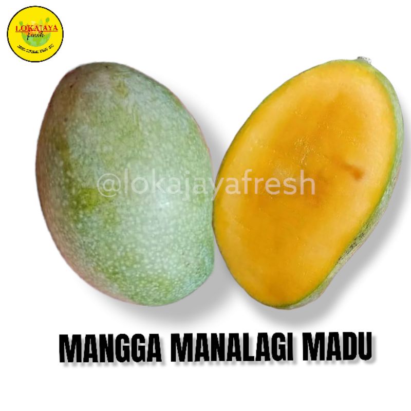 Jual Mangga Manalagi Manis 1 Kg | Shopee Indonesia