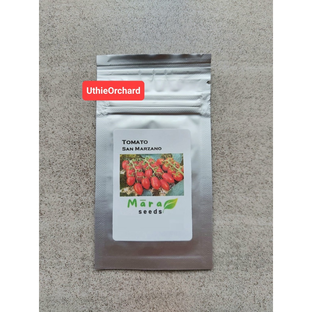 Jual Mara Seeds - Tomato (Tomat) San Marzano (40 seeds) | Shopee Indonesia