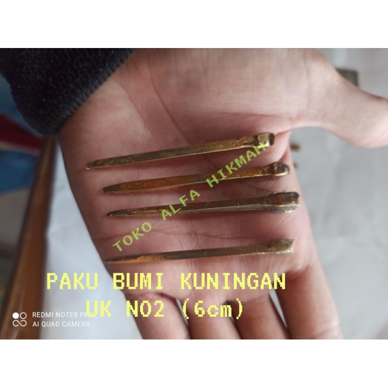 Jual PAKU BUMI KUNINGAN UK NO2 (6cm) | Shopee Indonesia