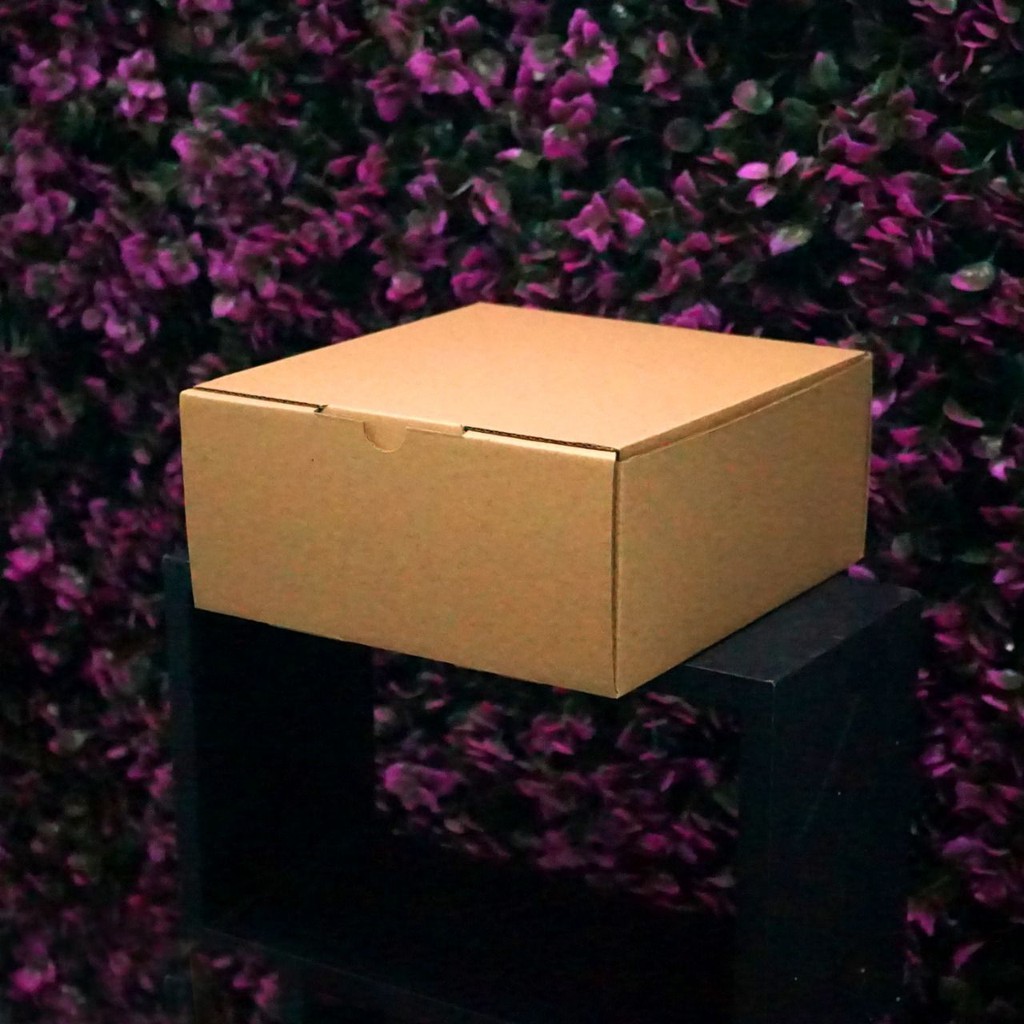 Jual Kotak Packaging Polos Tinggi 18 x 18 x 8 cm - Pizza Box - Bentuk ...