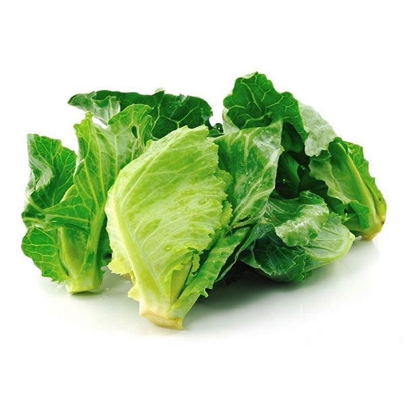 Jual Grosir Ceciwis Ciwis Ceriwis 250 gr | Shopee Indonesia