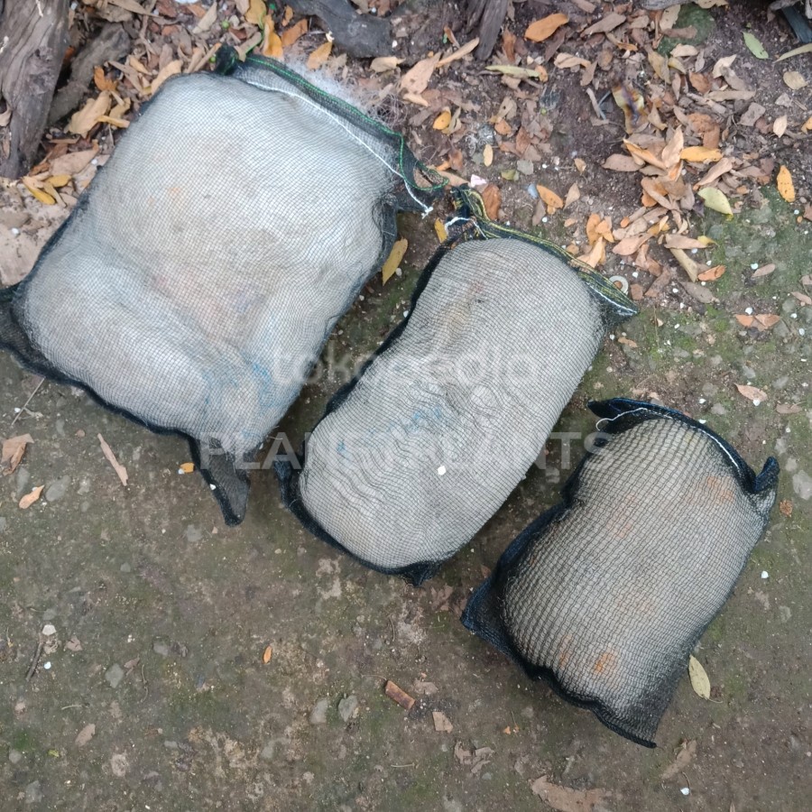 Jual MEDIA FILTER JARING NELAYAN AQUARIUM AQUASCAPE KOLAM IKAN | Shopee ...