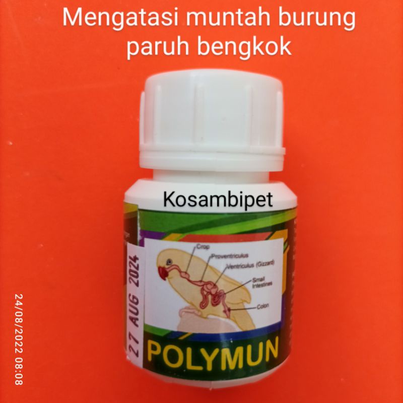 Jual Polymun - obat burung muntah - Parrot muntah | Shopee Indonesia