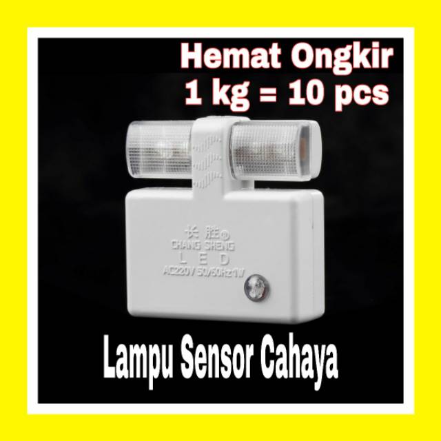 Jual Lampu Taman Rumah Sensor Cahaya-Lampu Tidur Sensor Cahaya 1 Watt ...
