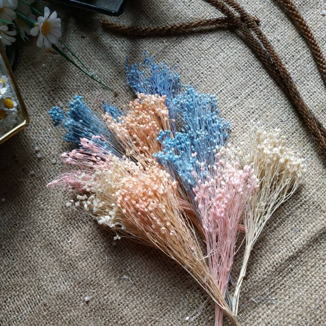 Jual Bloom broom bunga kering hiasan ring box | Shopee Indonesia