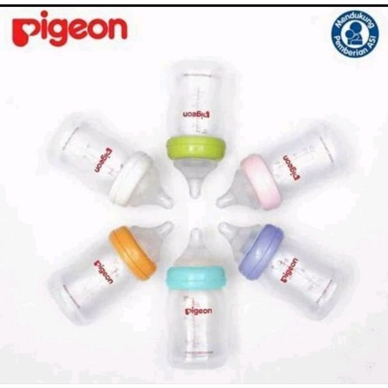 Jual Pigeon botol susu PP Wide Neck 240ml | Shopee Indonesia