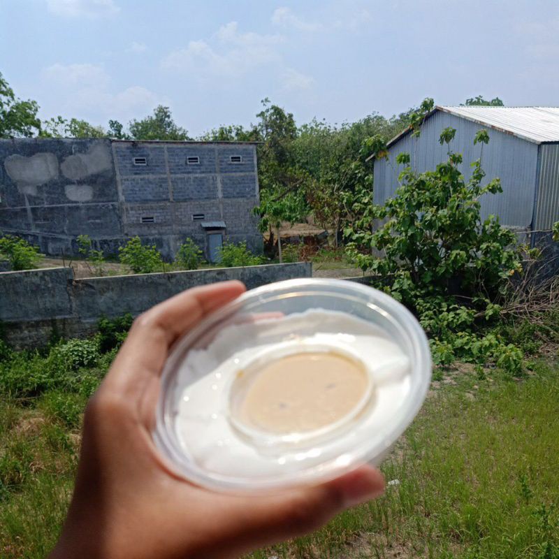 Jual SLIME DALGONA MILO MURAH | Shopee Indonesia