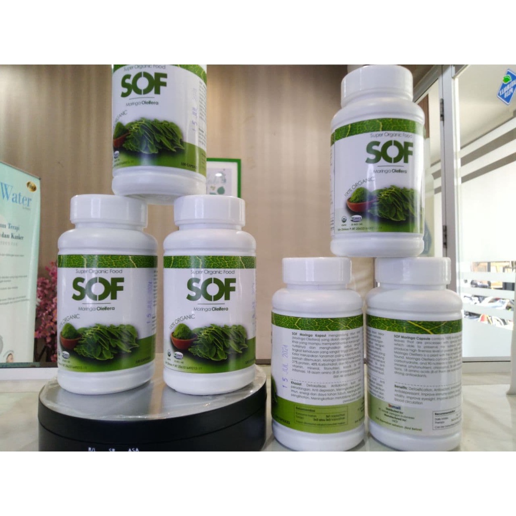 Jual SOF moringa oleifera daun kelor | Shopee Indonesia