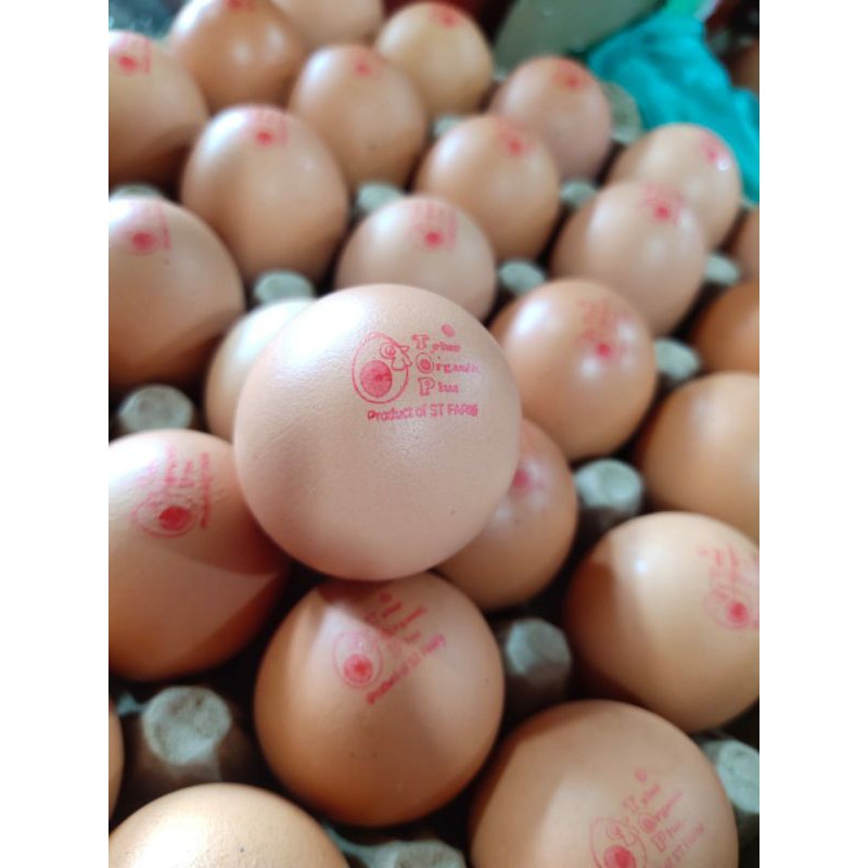 Jual Telur Omega / Telur organik Plus | Shopee Indonesia