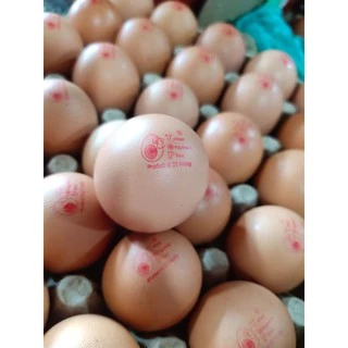 Jual Telur Omega Terlengkap & Harga Terbaru Desember 2025 | Shopee ...