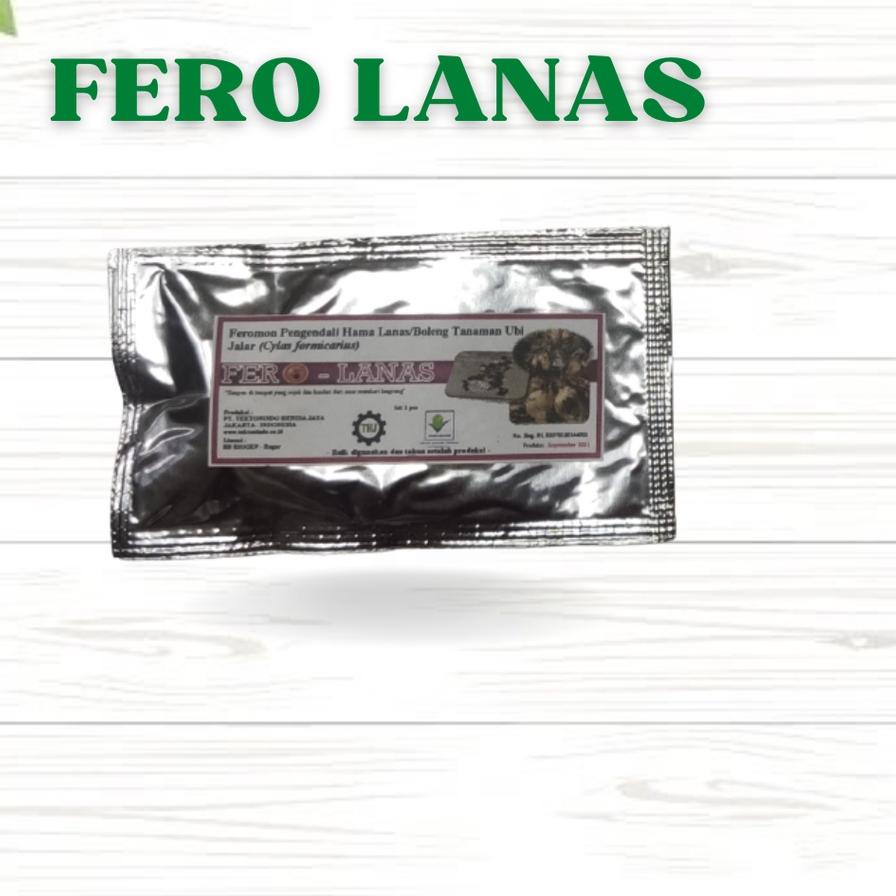 Jual Terbaru - FERO LANAS - Feromon Pengendali Hama Boleng Lanas Pada ...