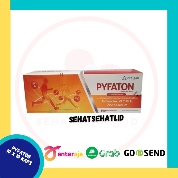 Jual Pyfaton 10 x 10 Kaps suplemen multivitamin original produk PYRIDAM ...