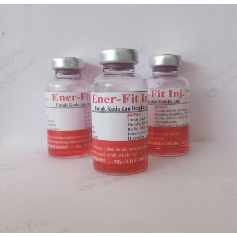 Jual Enerfit inj./untuk kuda pacu dan domba adu | Shopee Indonesia