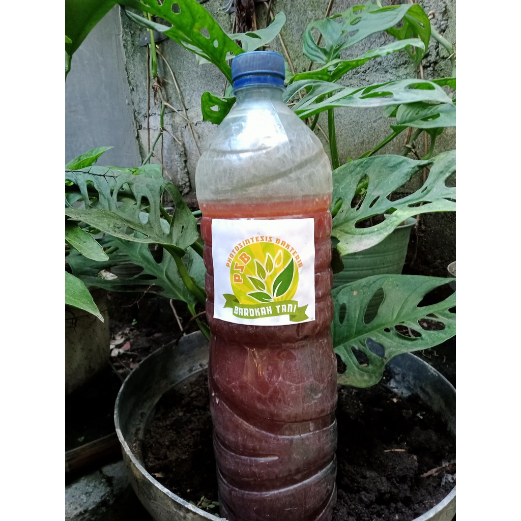 Jual Pupuk PSB (FHOTOSINTESIS BAKTERIA) 1,5liter | Shopee Indonesia