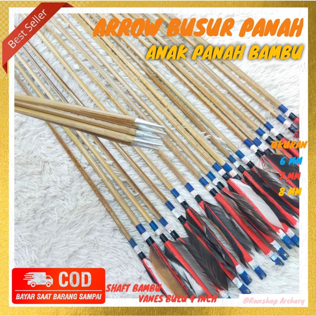 Jual MIN 6 ARROW ANAK PNAH BAMBU VANES BULU 4 inch MURAH | Shopee Indonesia
