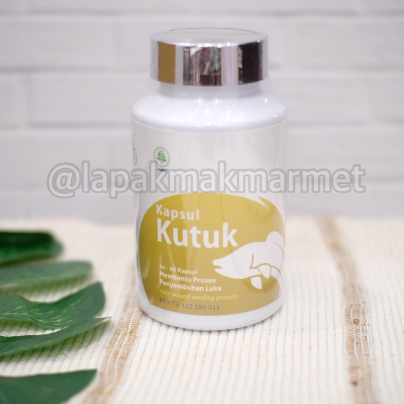 Jual Kapsul Kutuk/Kapsul Ikan Gabus Premium | Shopee Indonesia