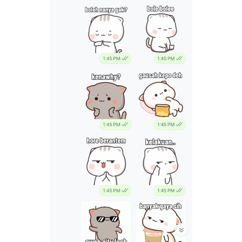 Jual STICKER WHATSAPP KUCING KATA" BERGERAK (GIF) 20 PCS | Shopee Indonesia