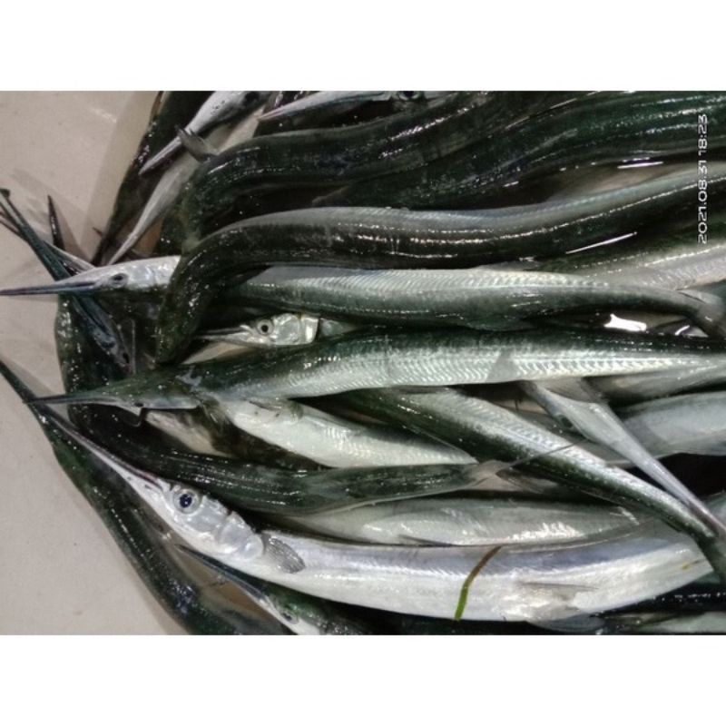 Jual Ikan Cendro Fresh 1kg | Shopee Indonesia