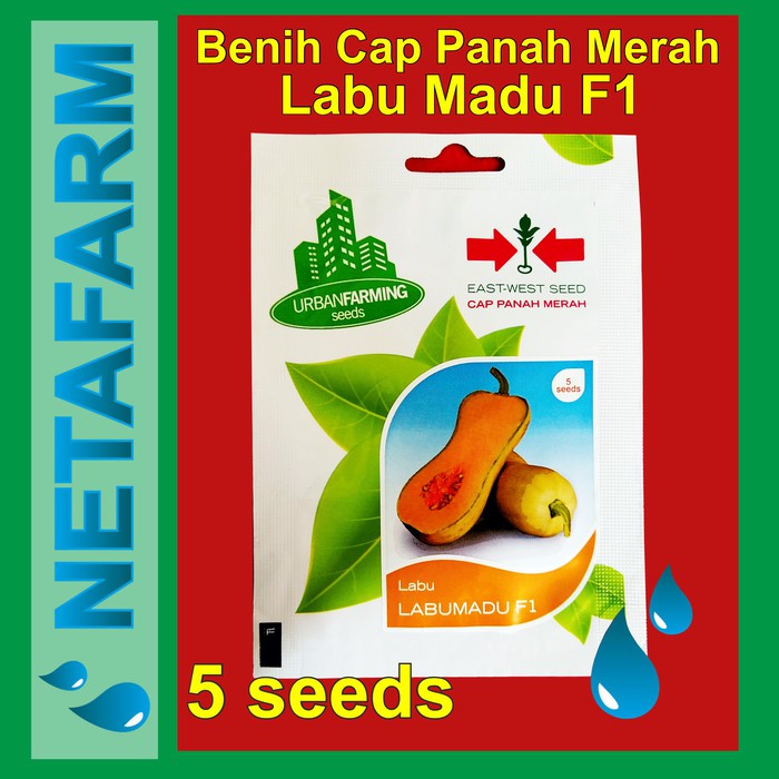 Jual Benih Labu Madu F1 - Cap Panah Merah / East West Seed ( 5 seeds ...