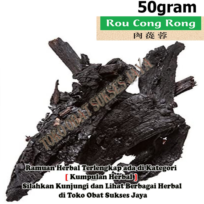 Jual [50gram] Rou Cong Rong - [ 肉苁蓉 ] - Herba Cistanchis Deserticolae ...