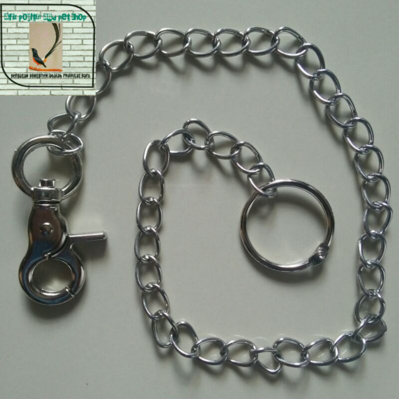 Jual RANTAI BORGOL UJUNG BESI UNTUK KAKI BURUNG KAKATUA | Shopee Indonesia