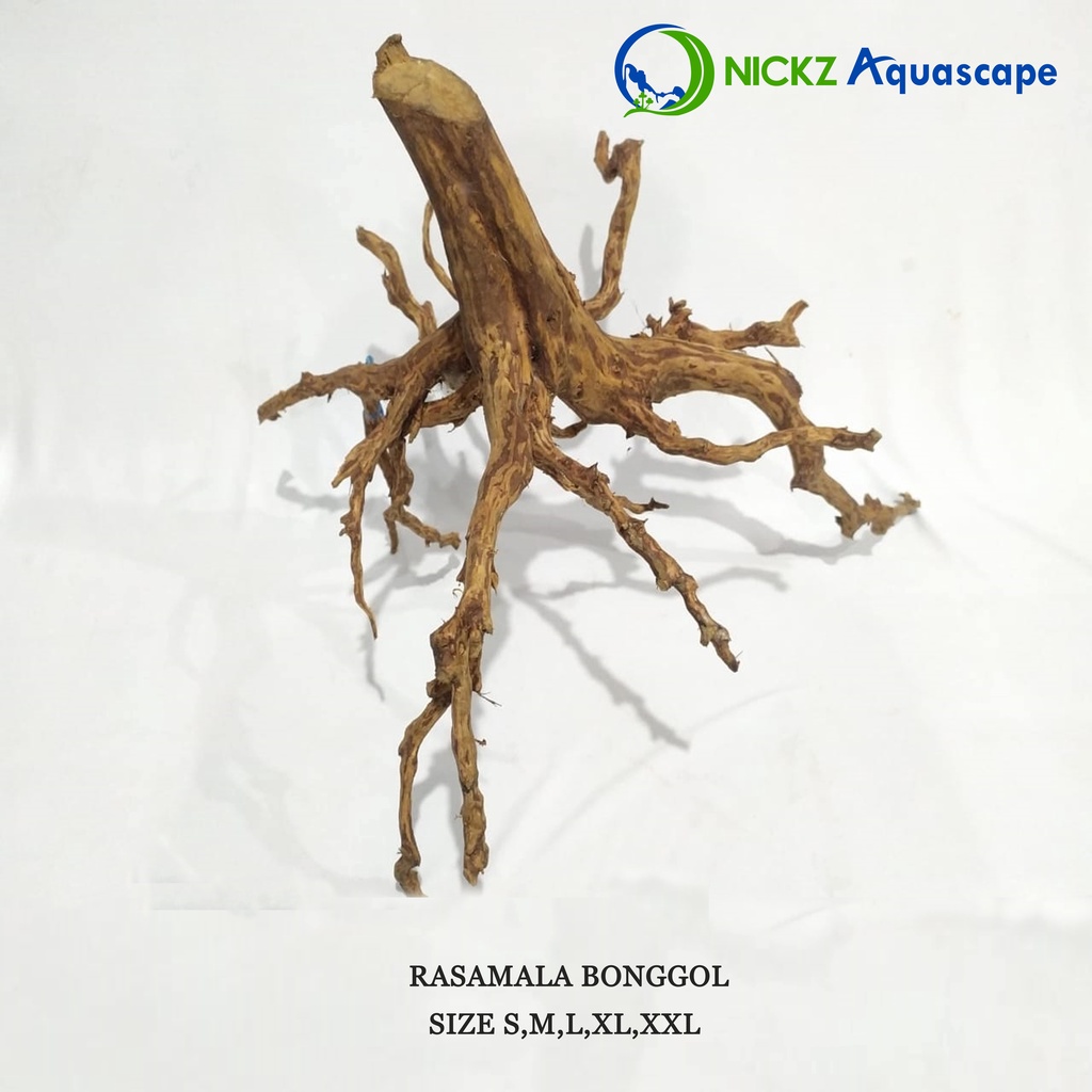 Jual KAYU AQUASCAPE / KAYU RASAMALA SIZE M / MOTIF BONGGOL ...