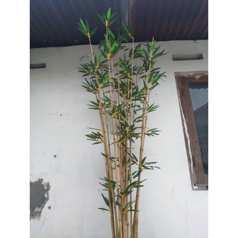 Jual 1 bambu cendani lurus 2m DAUN BAMBU ARTIFICIAL | Shopee Indonesia