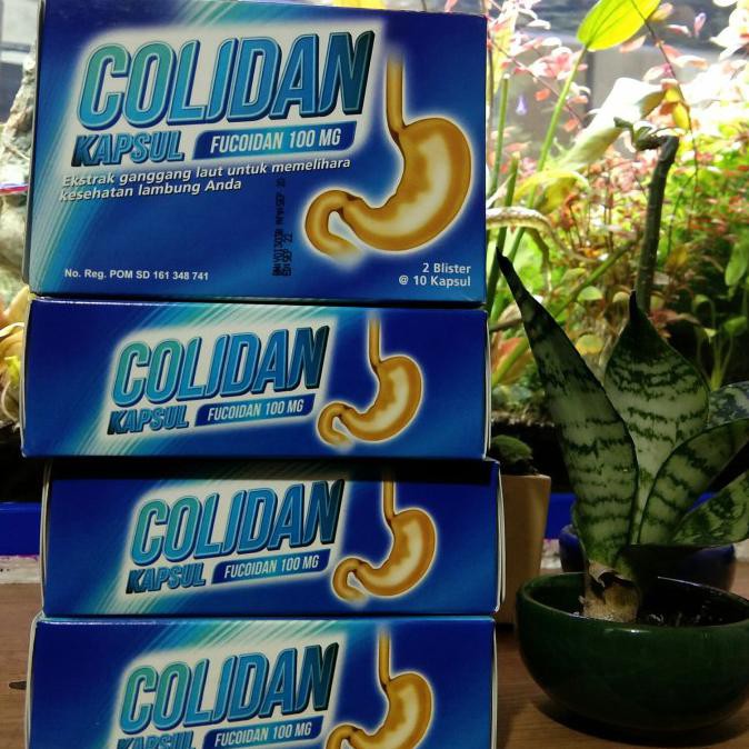 Jual Colidan 100 Mg Fucoidan Herbal Ganggang Laut Untuk Kesehatan ...
