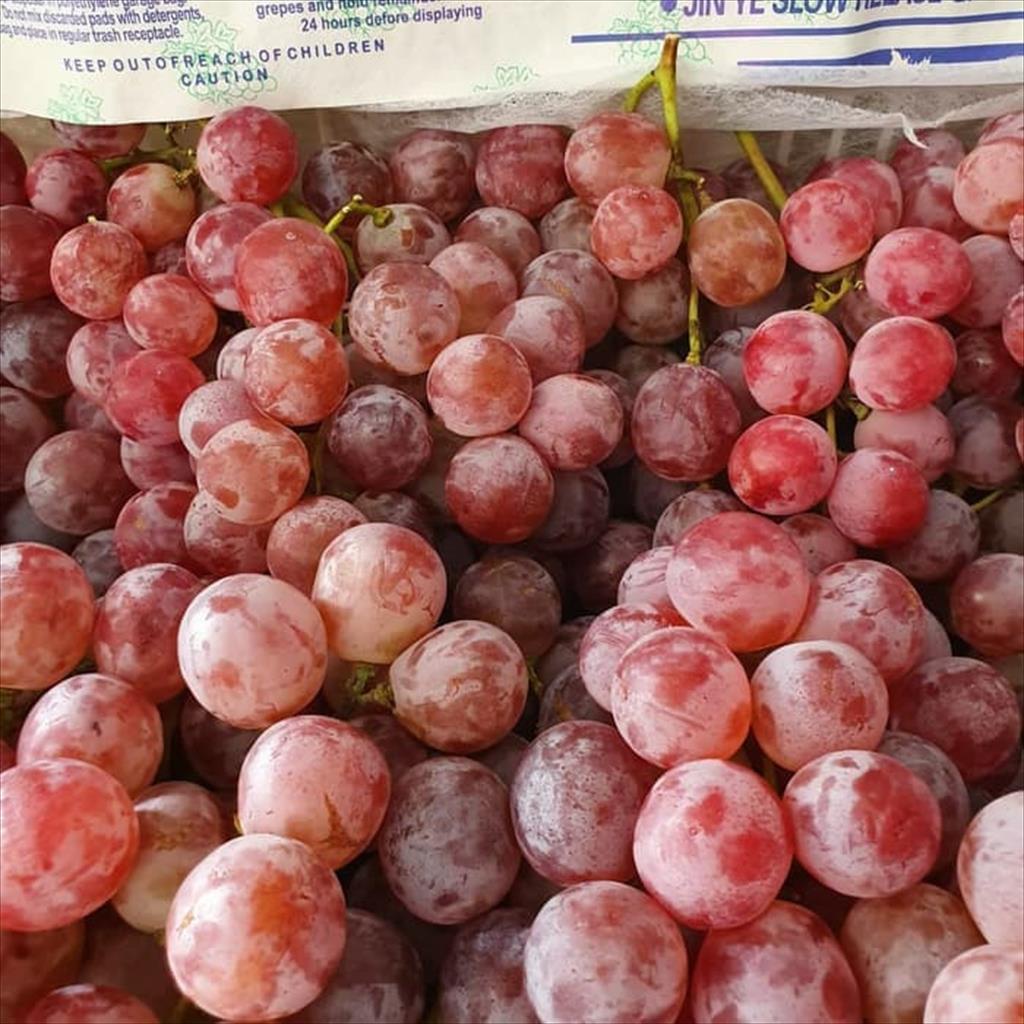 Jual Anggur Red Globe 500Gr | Shopee Indonesia