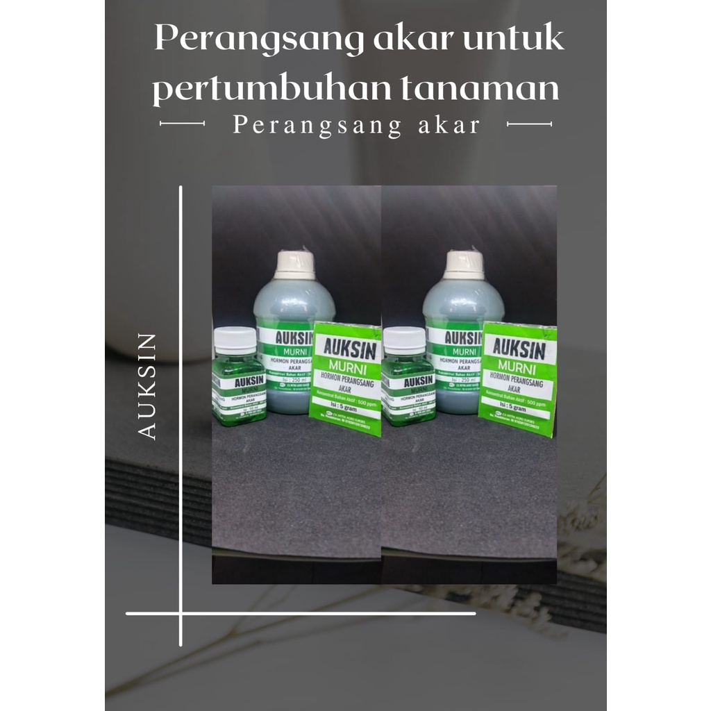 Jual Hormon AUKSIN perangsang akar tanaman auksin murni auxin stek ...