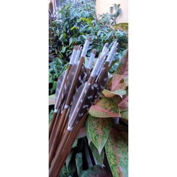 Jual Promo Arrow murah | Shopee Indonesia