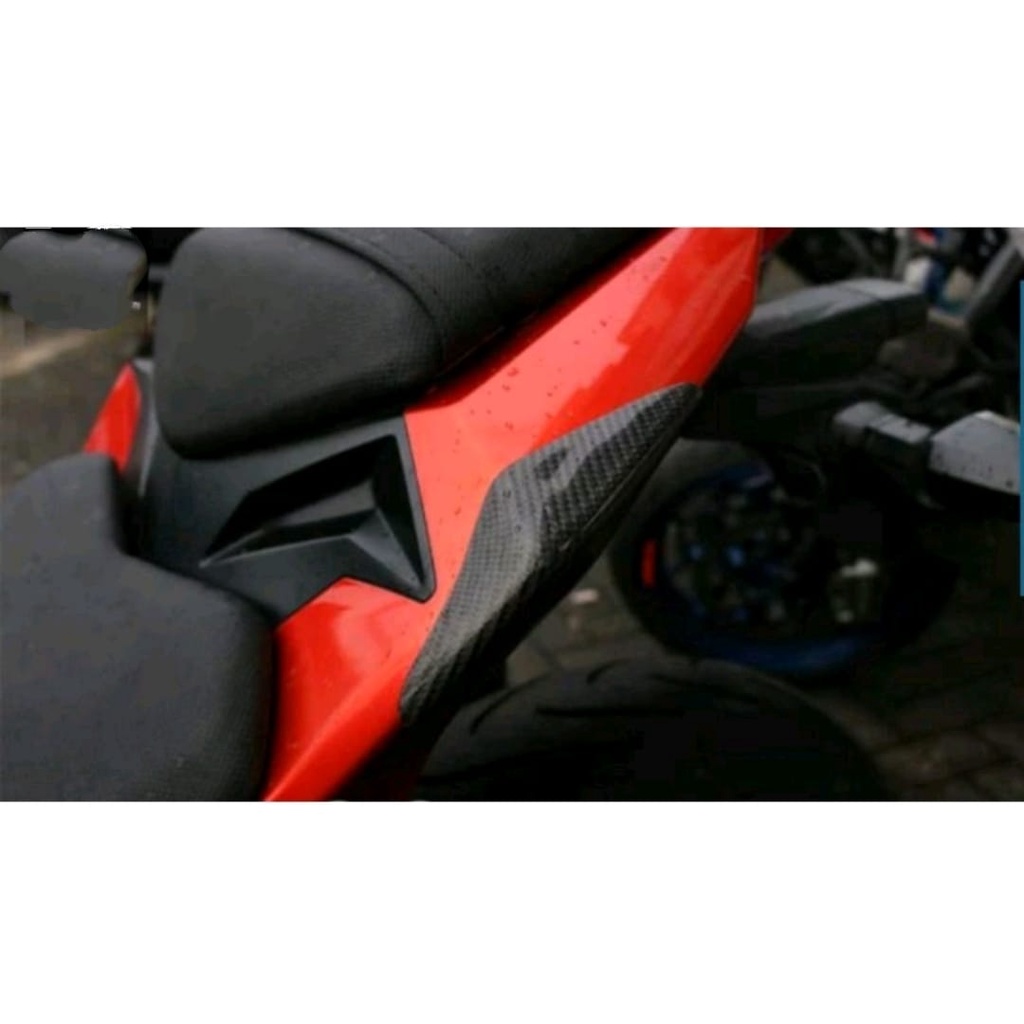 Jual Tail Slider Body Protector Ninja 250 Fi / Z250 Fi Old 2012-2017 ...