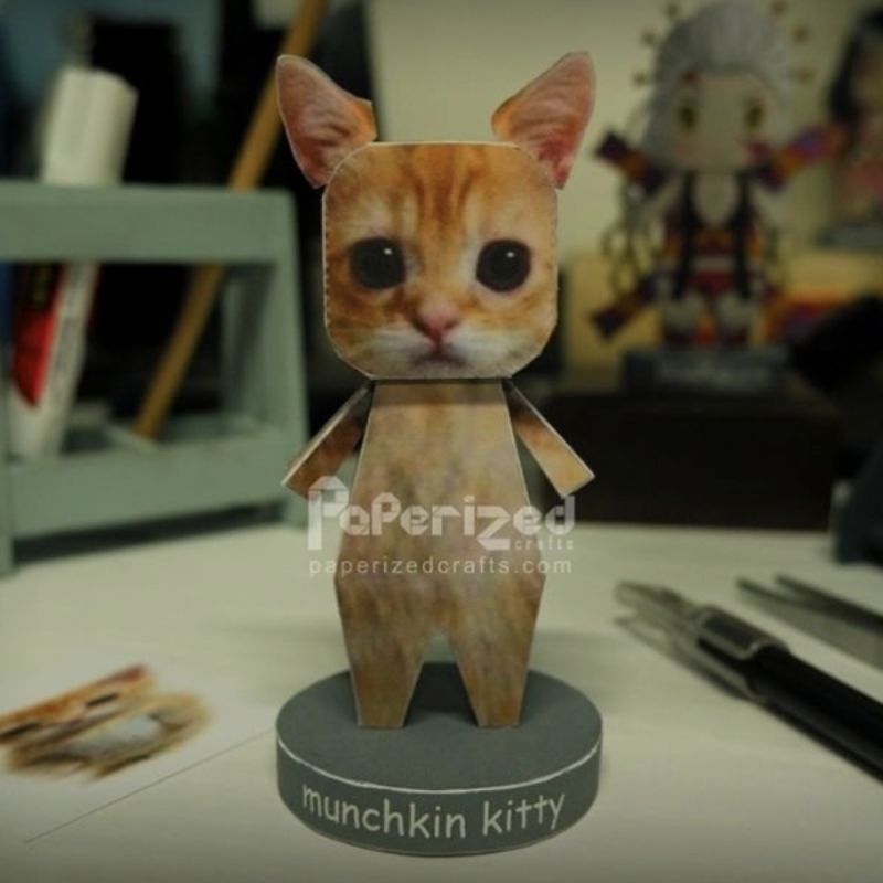 Jual dudul kucing | Shopee Indonesia
