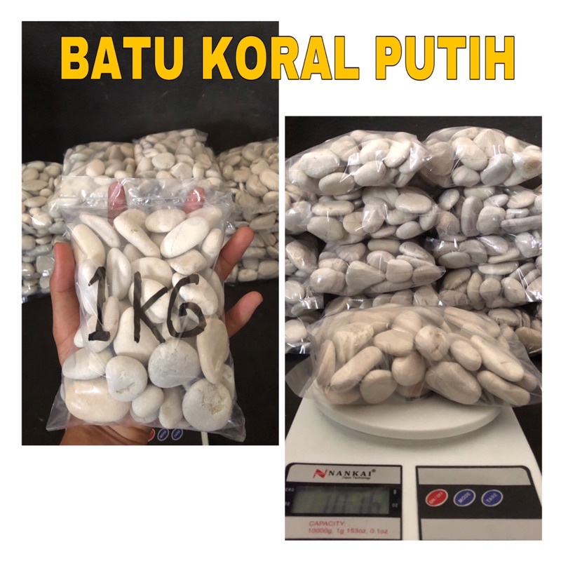Jual Batu Koral Putih | Shopee Indonesia