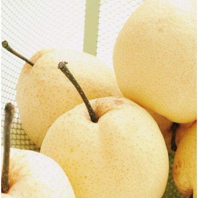 Jual BUAH PEAR SWEET MANIS SEGAR 1KG | BUAH PIR MANIS | BUAH PEAR MADU ...