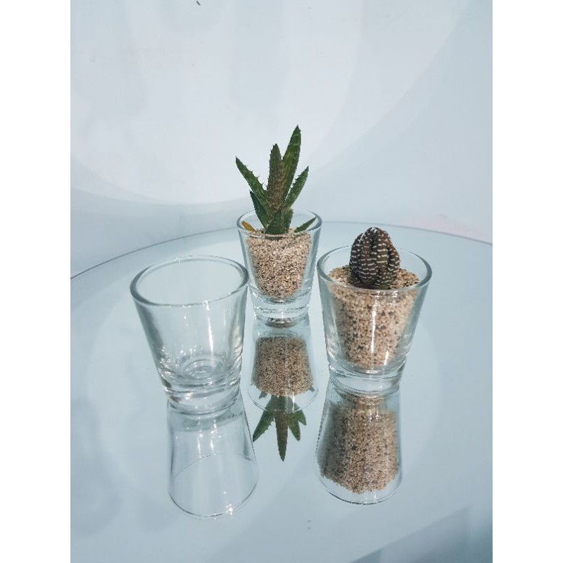 Jual POT KACA MINI UKURAN 6CM | Shopee Indonesia