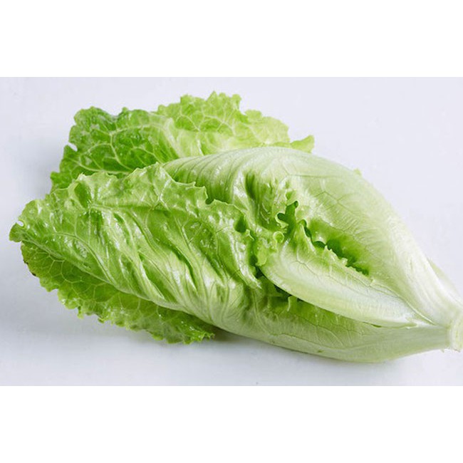 Jual SELADA ROMAINE per 250GR | Shopee Indonesia