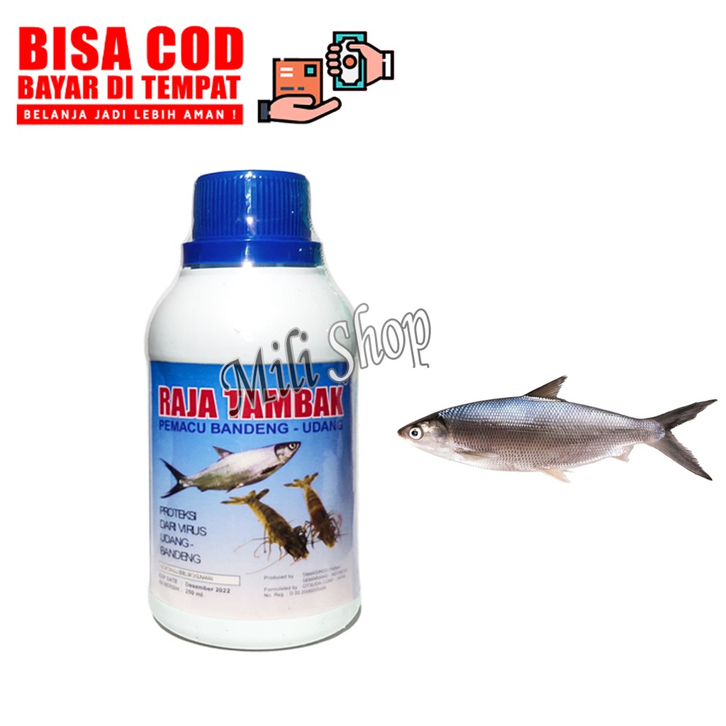 Jual Vitamin Nafsu Makan Cepat Tumbuh Ikan Raja Tambak Antiboitik Ikan ...