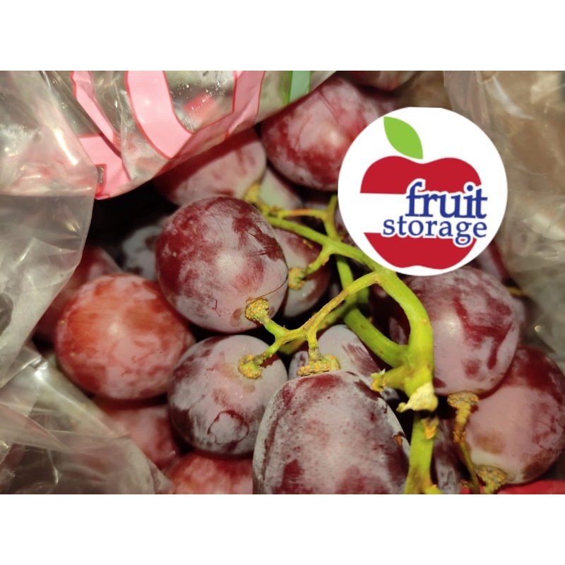 Jual Anggur Red Globe 1kg merah Import Buah Impor segar fresh | Shopee ...