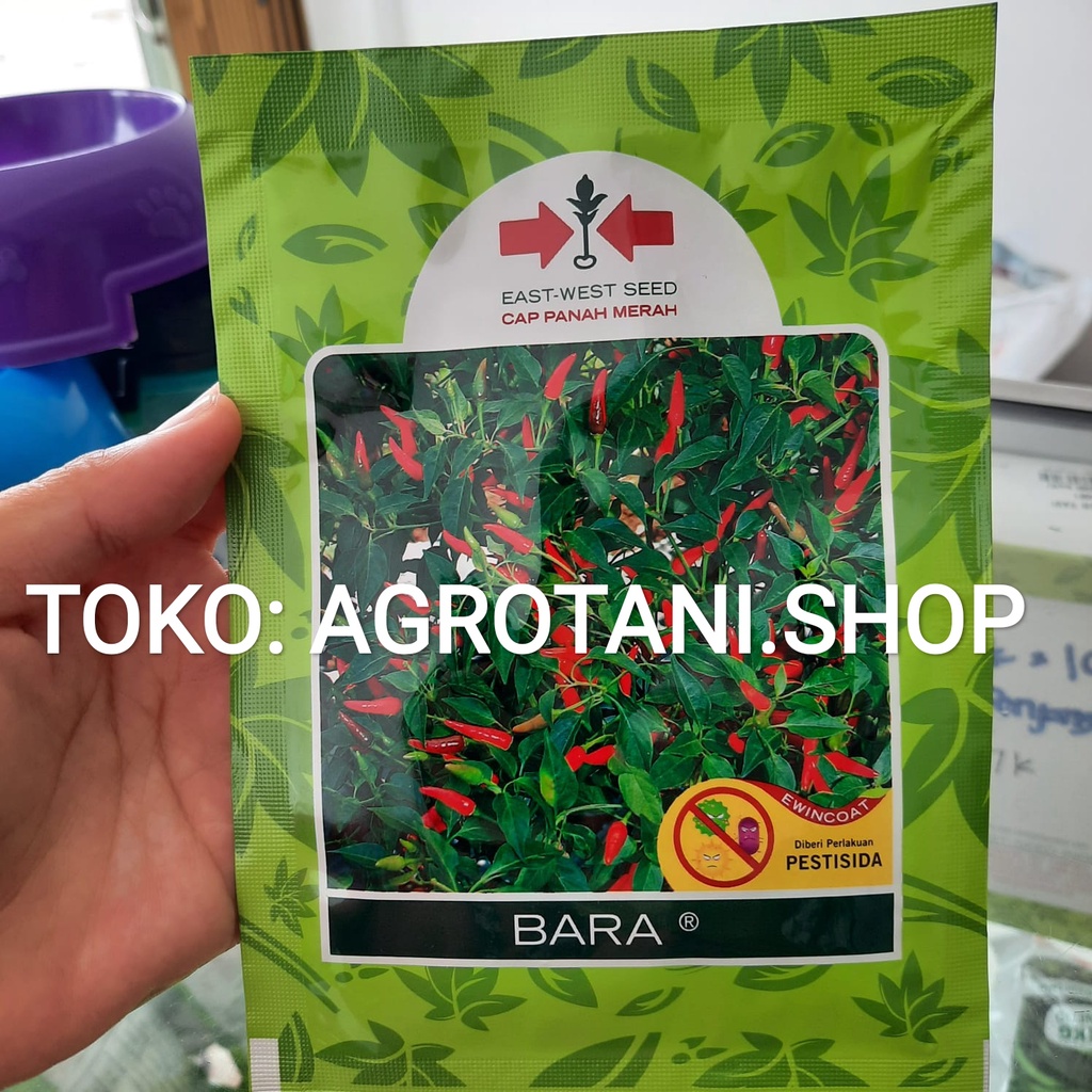 Jual Bibit Cabe Rawit Unggul Bara- kemasan Repack Panah Merah | Shopee ...
