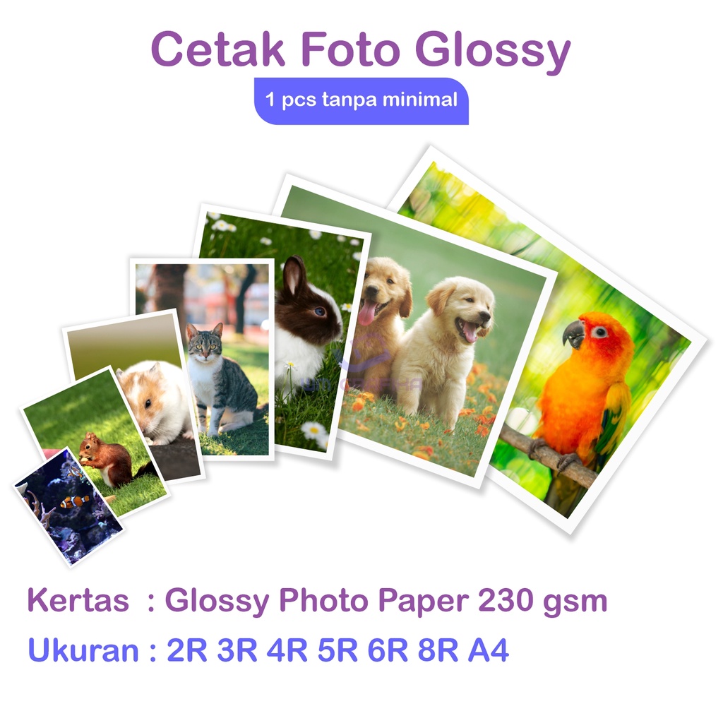 Jual Aneka Cetak Foto Glossy Photo Paper Ukuran 2R 3R 4R 5R 6R 8R A4 ...