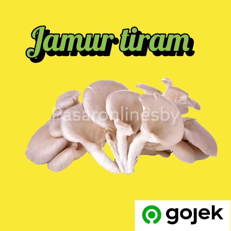 Jual PASAR GUBENG - Jamur Tiram - Per Pack | Shopee Indonesia