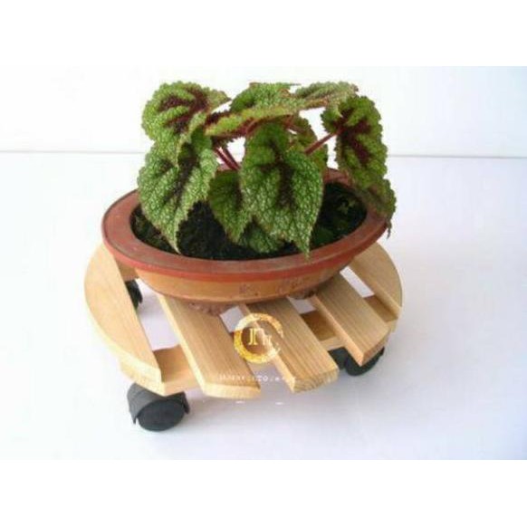 Jual Stok Banyak RFMZN Tatakan pot dengan roda dolly plant gardening ...
