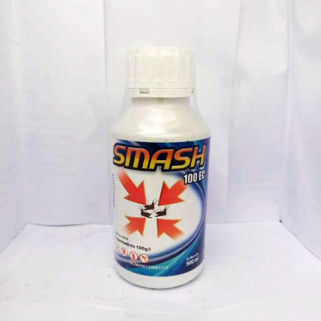 Jual SMASH 100 EC obat fogging untuk nyamuk kecoa & lalat | Shopee ...